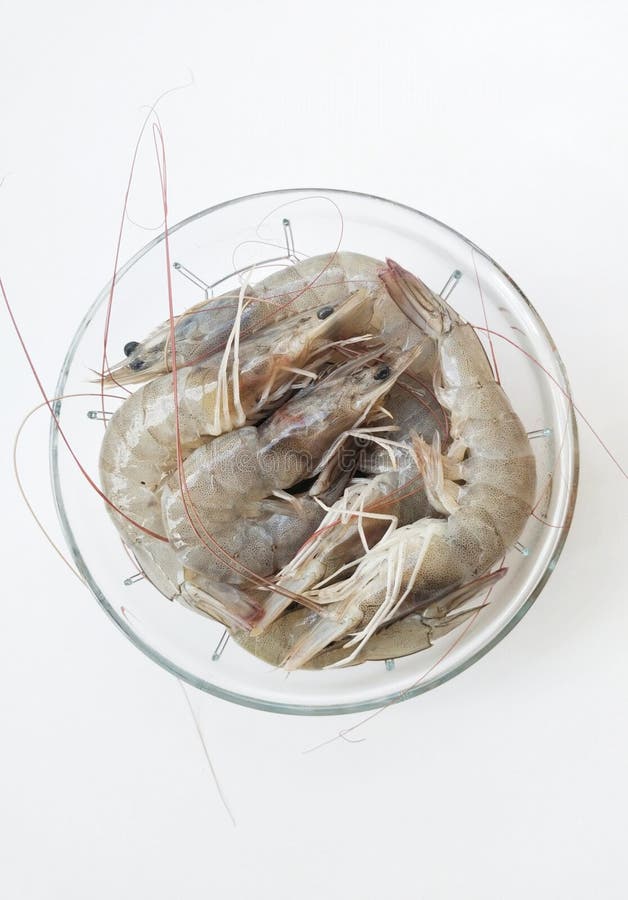 Directly Above Shot of Raw Large Prawns in a Bowl on a White Background ...