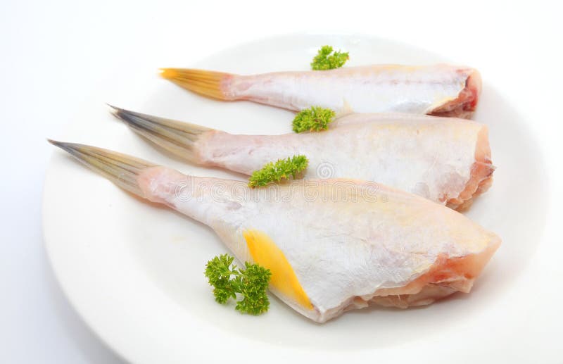 Raw Leatherjacket, Ocean Jacket or Skipjack Fish Stock Image - Image of ...