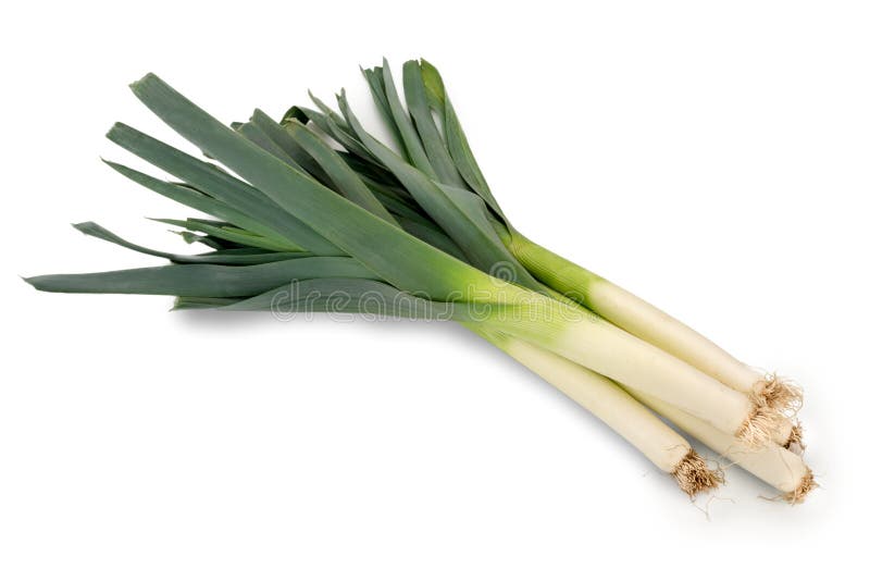 Raw leeks bunch on white stock image. Image of leaf - 242045441