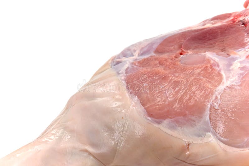 Raw Leg of Pigling - Piglet . Close Up Stock Image - Image of farm ...