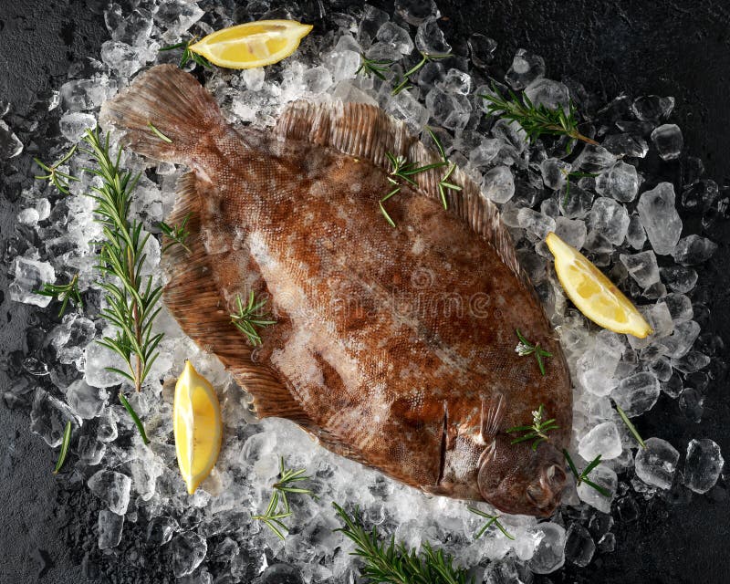 Raw Lemon Sole Fish on Ice with Herbs and Lemon Wedges Stock Photo ...