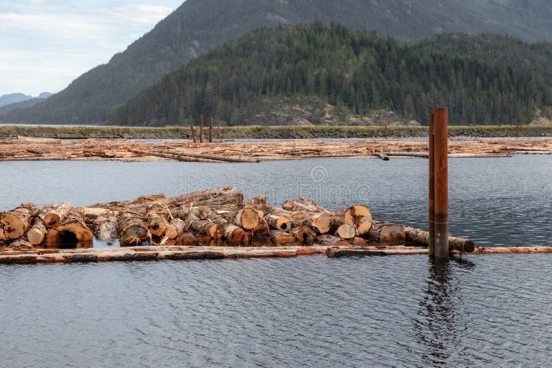 Logs Floating River Mountains Stock Photos - Free & Royalty-Free Stock ...