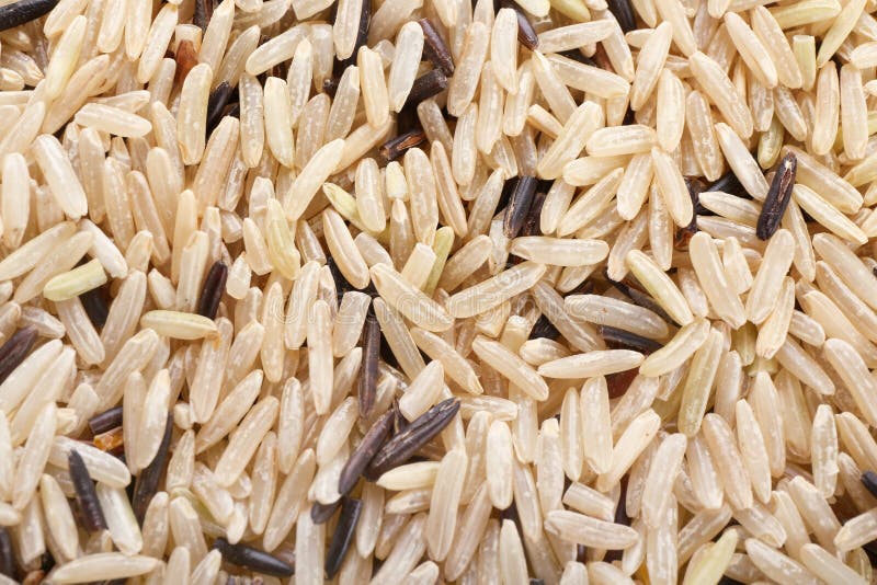 352 Thai Rice Seed Mix Grain Stock Photos - Free & Royalty-Free Stock ...