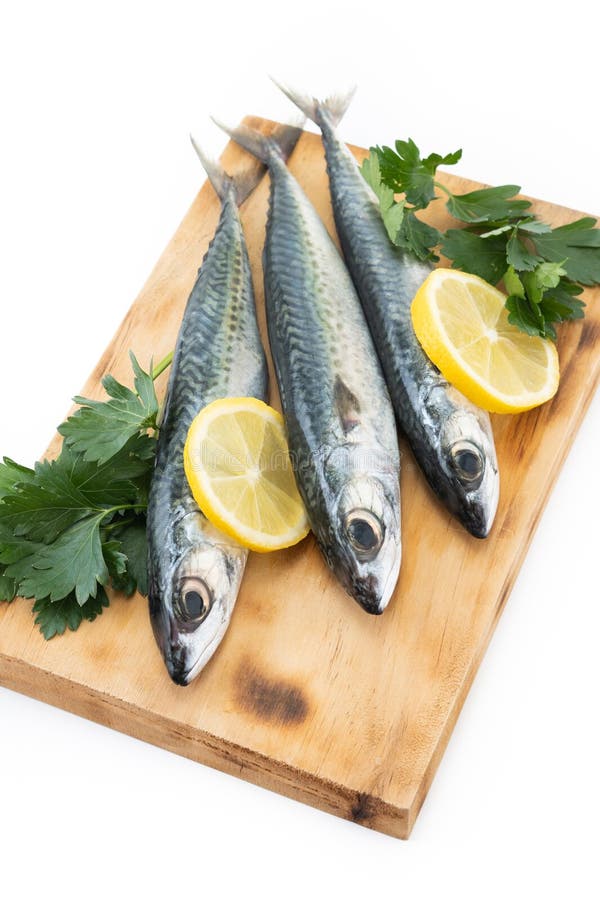 Raw Mackerel Fish Isolated on White Background Stock Photo - Image of ...