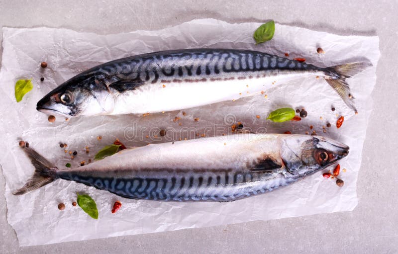 Raw Mackerel Fish with Spices Stock Image - Image of dinner, overhead ...
