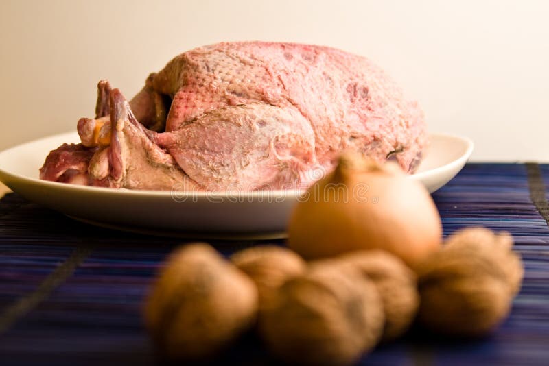 Raw mallard wild duck stock image. Image of wild, delicious - 8551685