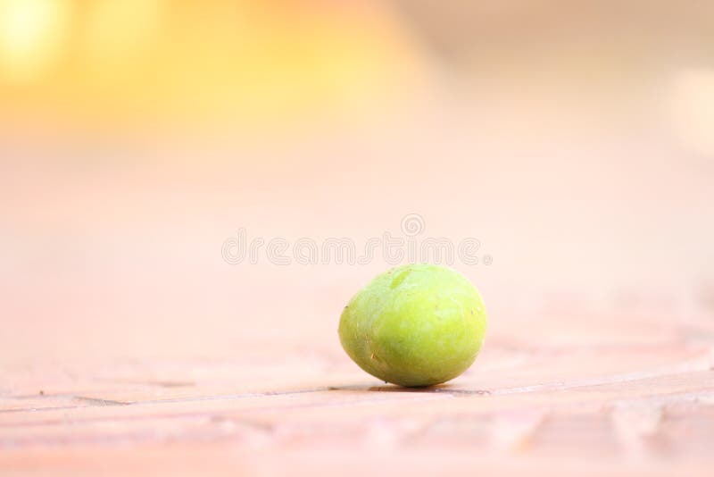 Raw Mango on Surface Ground Stock Image - Image of surface, ground ...