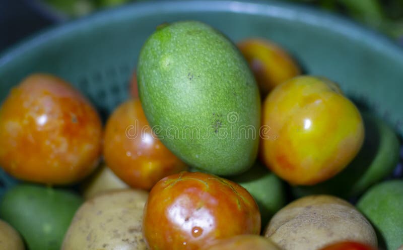 Raw Mango with Tomatoes stock photo. Image of natural - 188041738