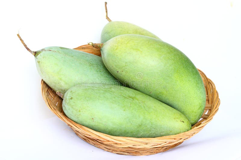 Raw mango stock photo. Image of nature, fruit, asian - 33681262