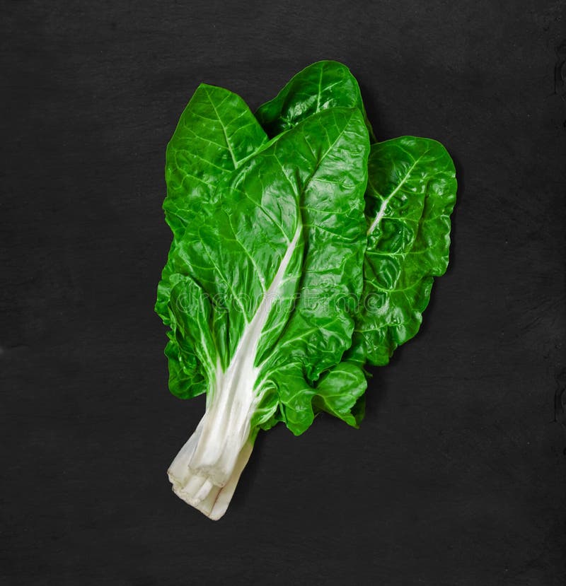 Raw Mangold on Black Backgound Stock Photo - Image of mangold, plant ...