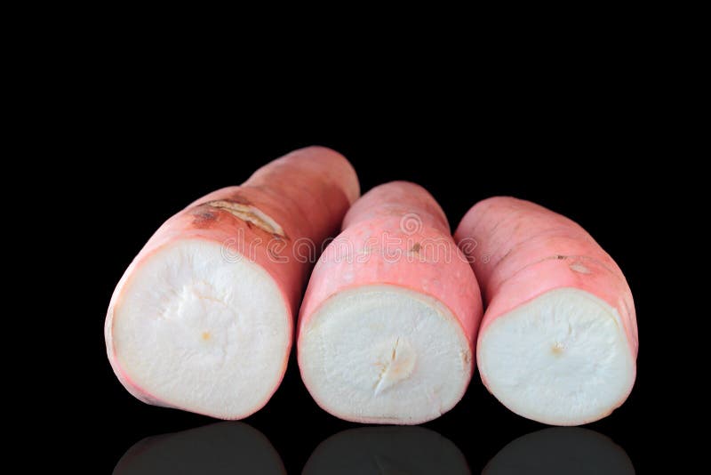 Raw Manioc for Feedstuffs and Foodstuff Industry Stock Photo - Image of ...