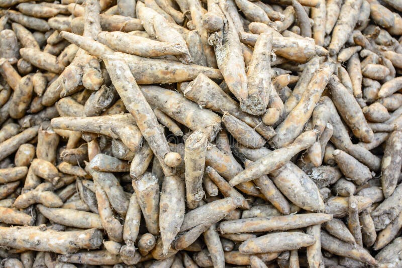 Raw Material of Root of Winged Bean, or Eduble Tuber of Winged Bean ...