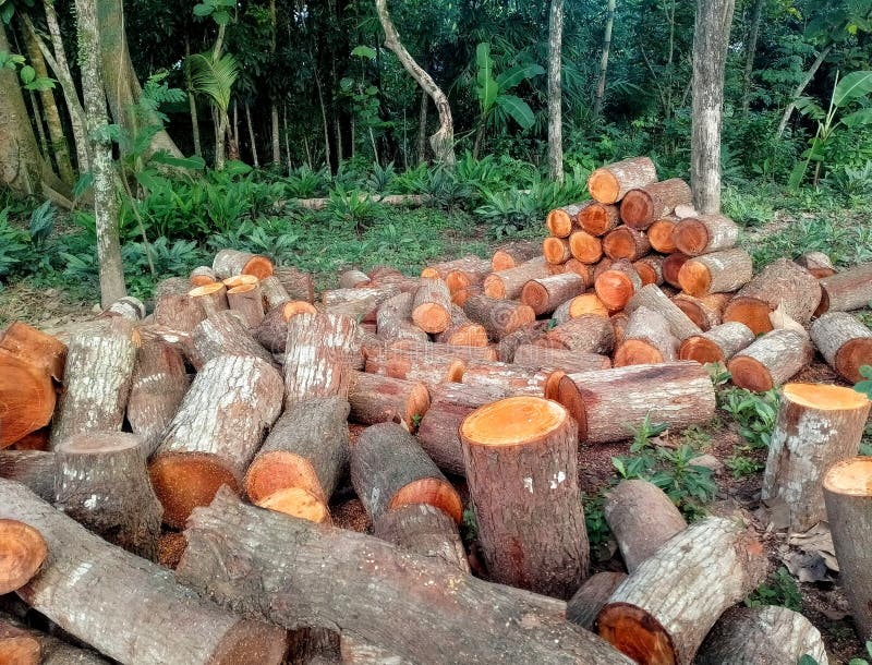 Raw Materials for Drum Musical Instruments Stock Photo - Image of ...