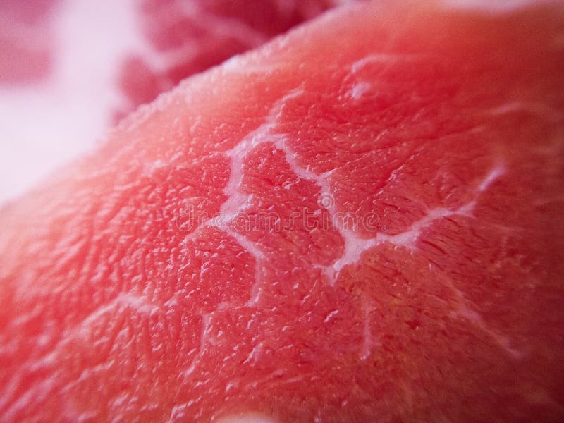 Raw meat stock photo. Image of eatable, comestible, details - 42858602
