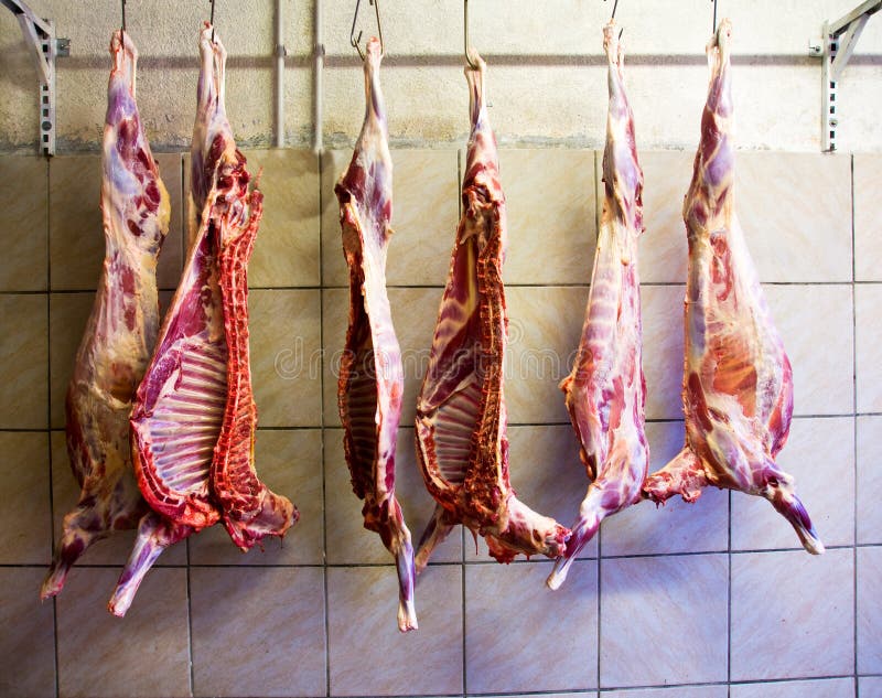 Raw meat hanging stock photo. Image of length, dead, bone - 21359680