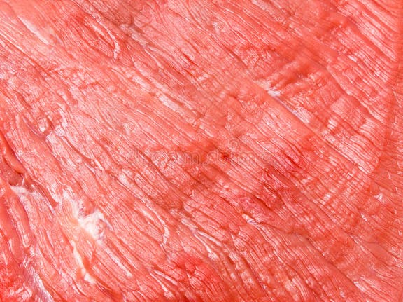 Raw meat texture stock image. Image of food, muscle, healthy - 26531843