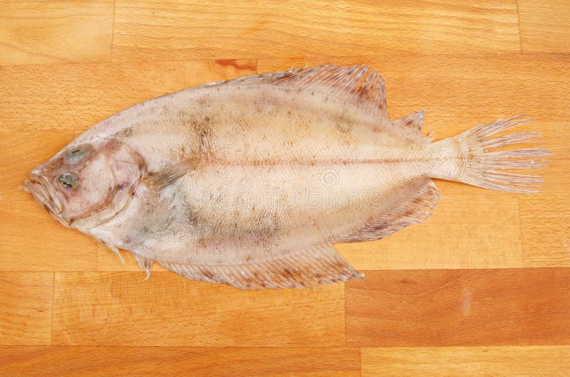 Raw megrim sole stock image. Image of fish, wood, tail - 99117199