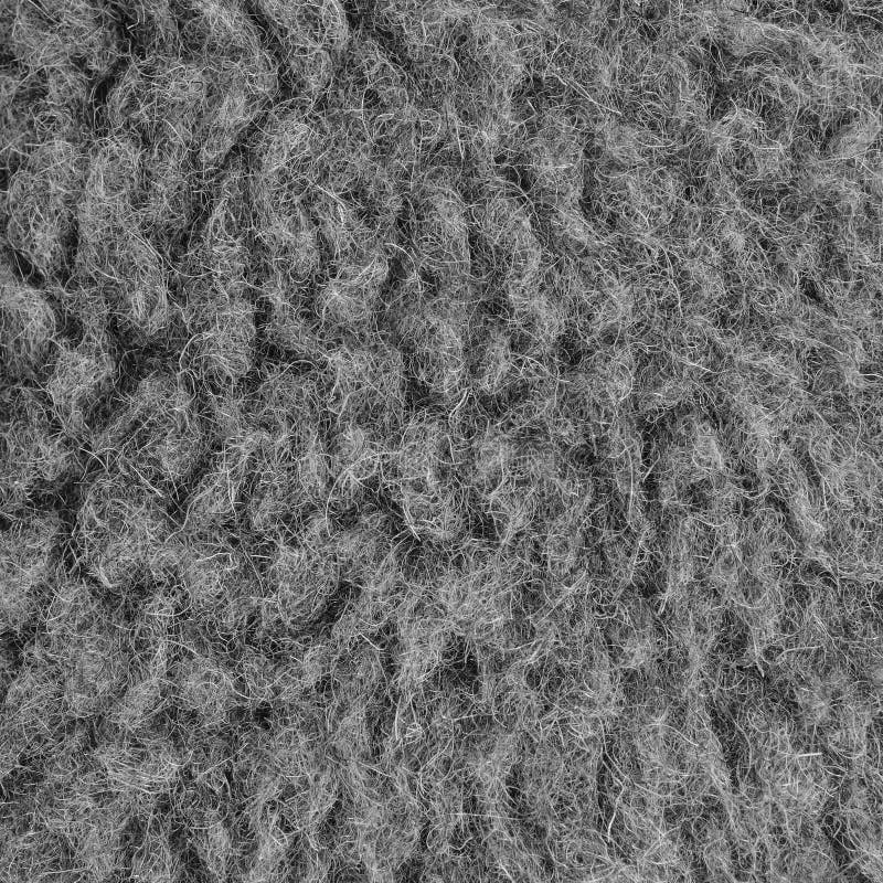 Raw Merino Sheep Wool Macro Closeup, Large Detailed Grey Textured ...