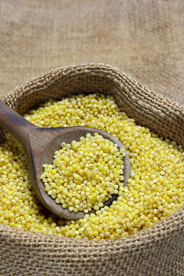 Raw millet stock image. Image of agriculture, ingredient - 38847763