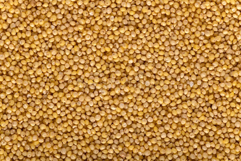 Raw Millet Seeds Texture and Background Stock Photo - Image of grain ...