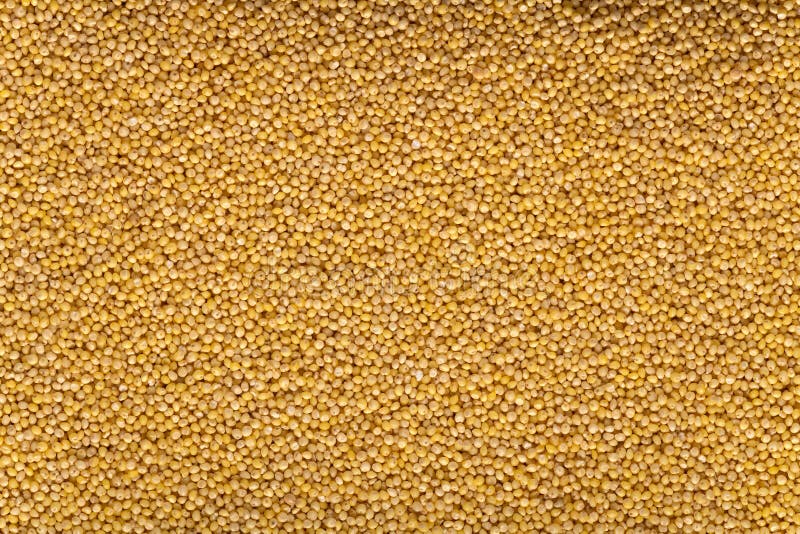 Raw Millet Seeds Texture and Background Stock Image - Image of food ...