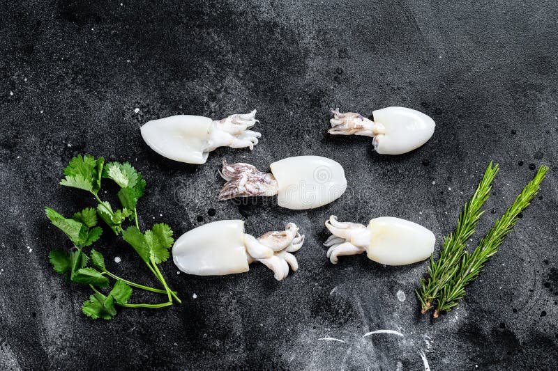 Raw Mini Cuttlefish with Rosemary and Parsley. Black Background. Top ...