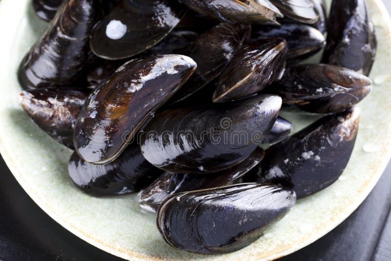 Raw Mussels stock image. Image of healthy, mussle, mussels - 23179105