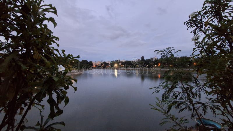 Raw Nature between Two Trees Light Stock Image - Image of trees, light ...