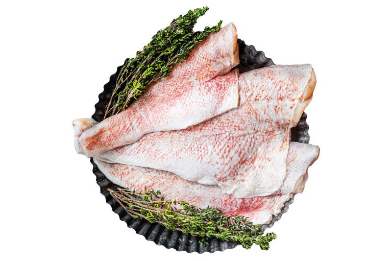 Raw Ocean Red Perch Fillet, Snapper Fish with Herbs. Isolated, White ...