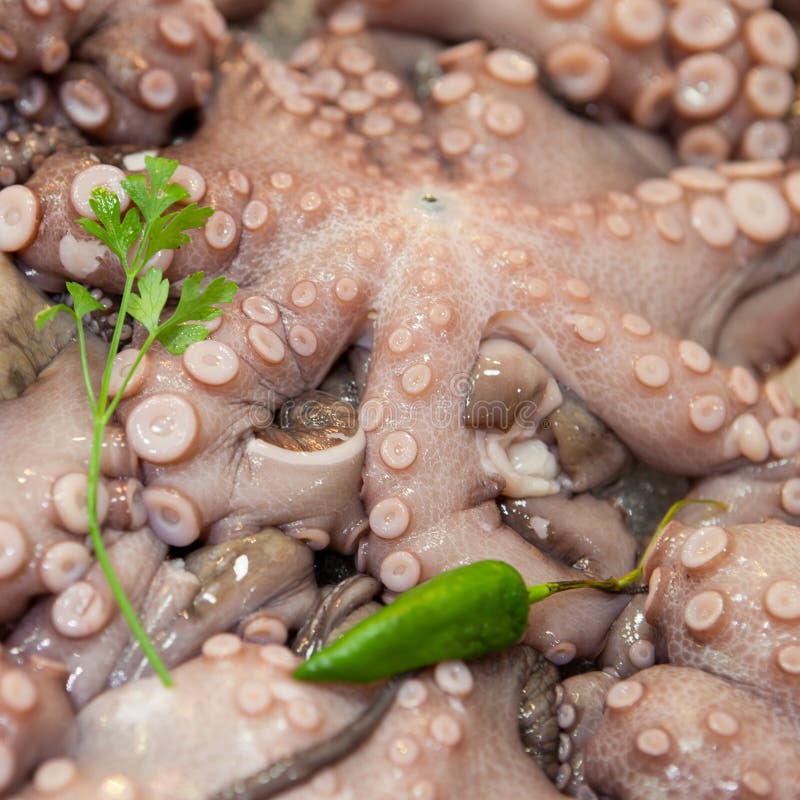 Raw octopus stock image. Image of fresh, seafood, gourmet - 27369901