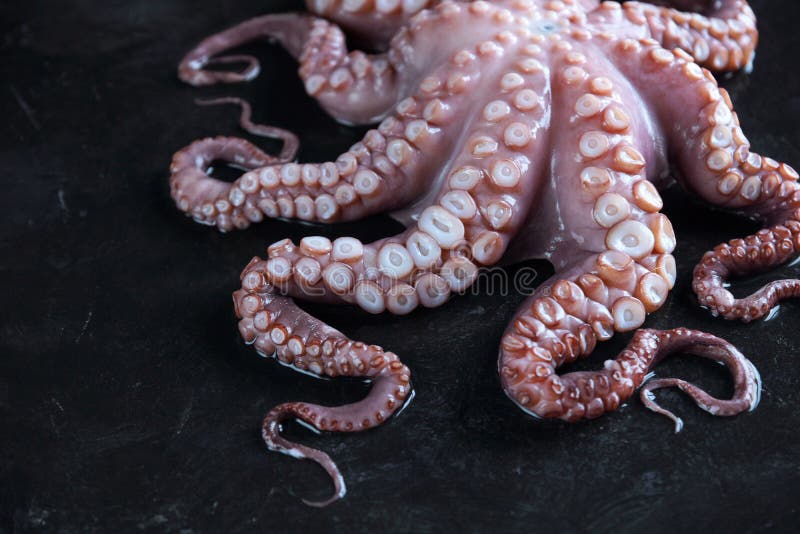 Raw octopus stock image. Image of health, cuisine, people - 94140493
