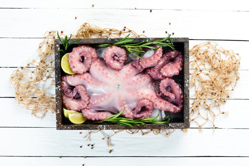 Raw Octopus in a Box with Ice. Stock Photo - Image of meal, squid ...