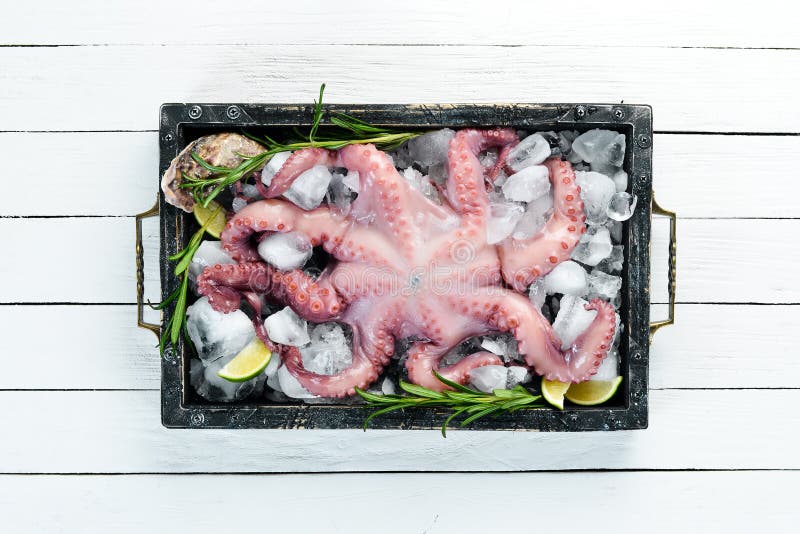 Raw Octopus in a Box with Ice. Stock Photo - Image of cooking, fish ...