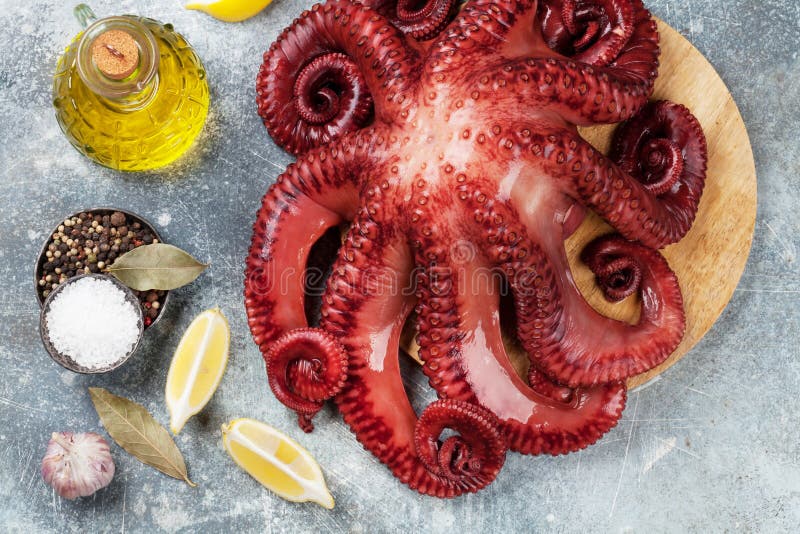 Raw octopus cooking stock image. Image of fresh, delicious - 113996681