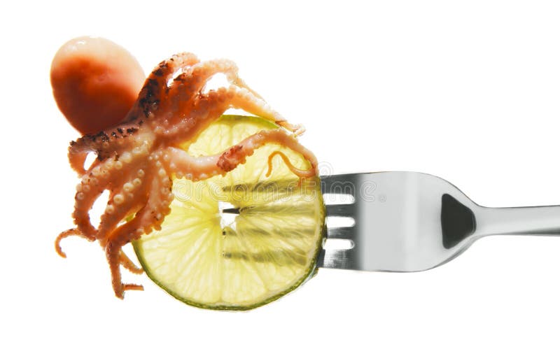 Raw octopus on fork stock image. Image of healthy, design - 36189001