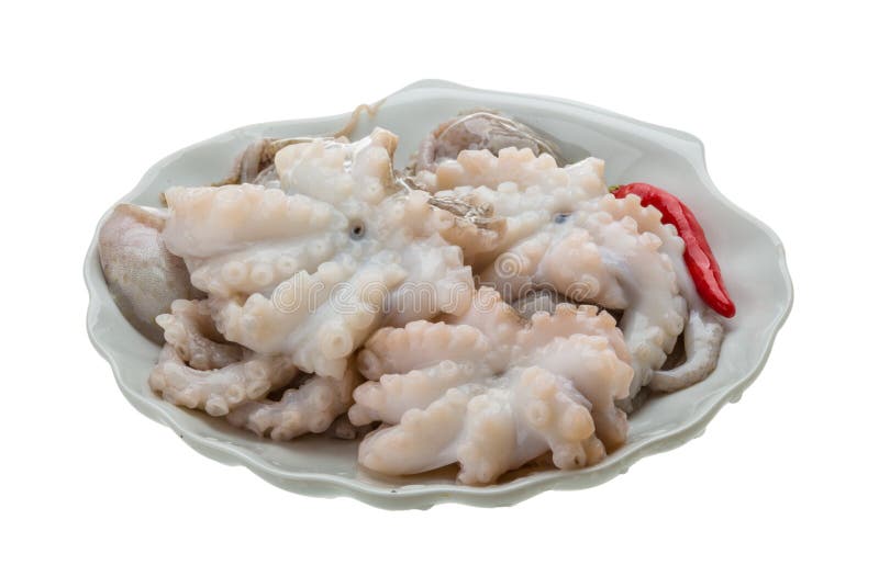 Raw octopus stock image. Image of nature, healthy, suckers - 40790445
