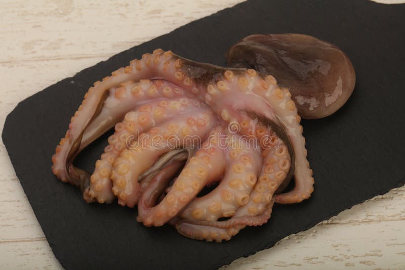 Raw octopus stock photo. Image of animal, delicatessen - 112808040