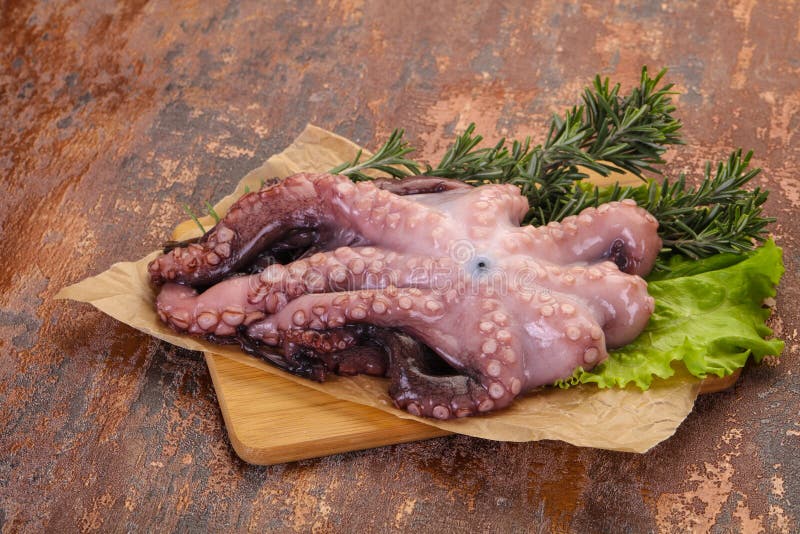 Raw Octopus Ready for Cooking Stock Photo - Image of color ...