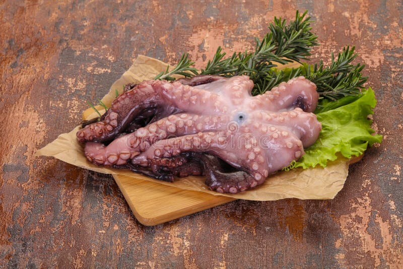 Raw Octopus Ready for Cooking Stock Image - Image of animal, octopus ...