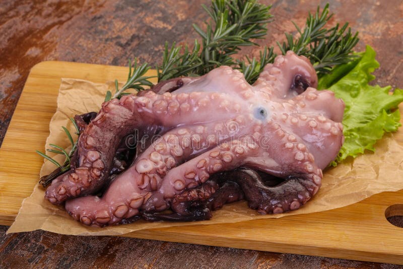 Raw Octopus Ready for Cooking Stock Image - Image of octopus, board ...