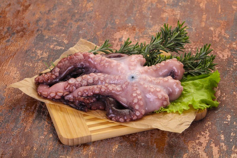 Raw Octopus Ready for Cooking Stock Photo - Image of organism, food ...