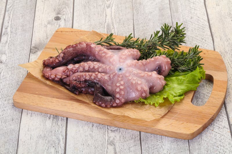 Raw Octopus Ready for Cooking Stock Image - Image of marine, gourmet ...