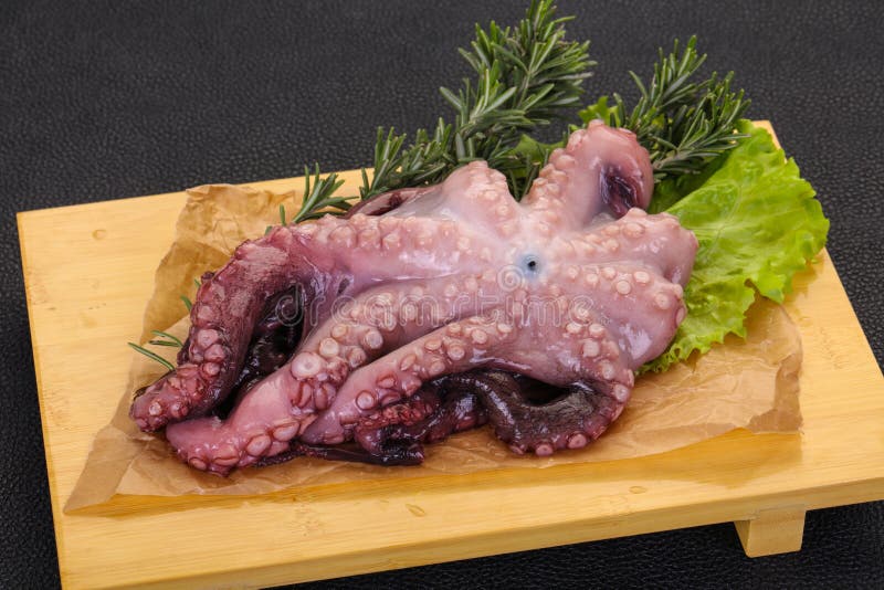 Raw Octopus Ready for Cooking Stock Photo - Image of shellfish, gourmet ...
