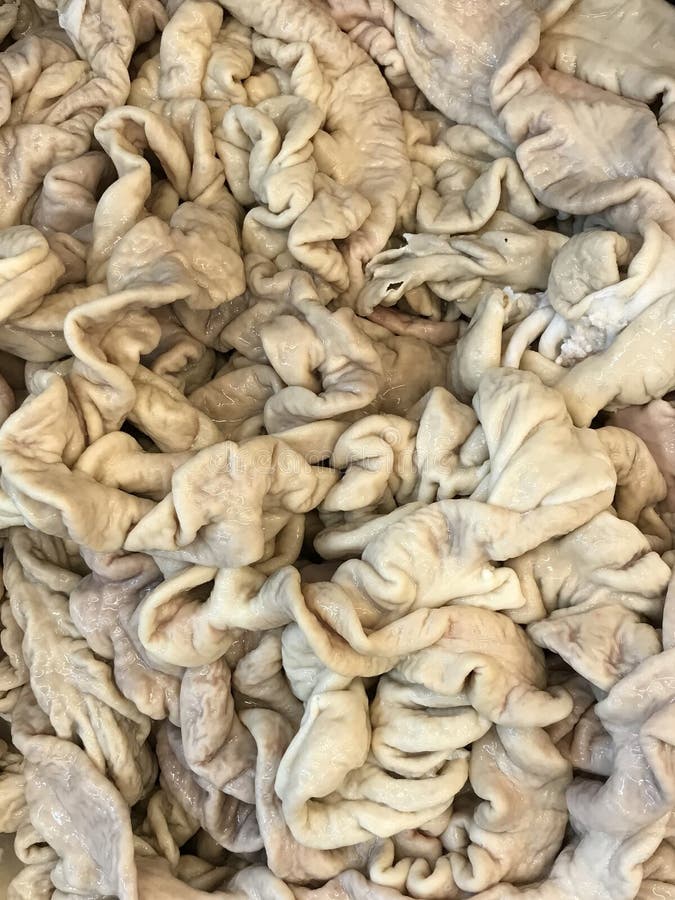 Raw Pig Intestine On White Background Stock Image - Image of butcher ...