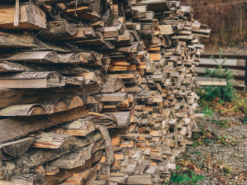 Raw Old Wood Plank Drying Outside Stock Photo - Image of lumber ...