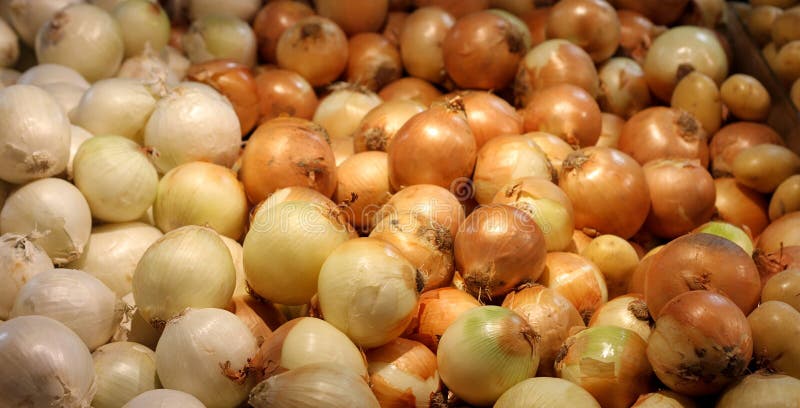 Raw Onions stock image. Image of vegetable, root, shallots - 38938353