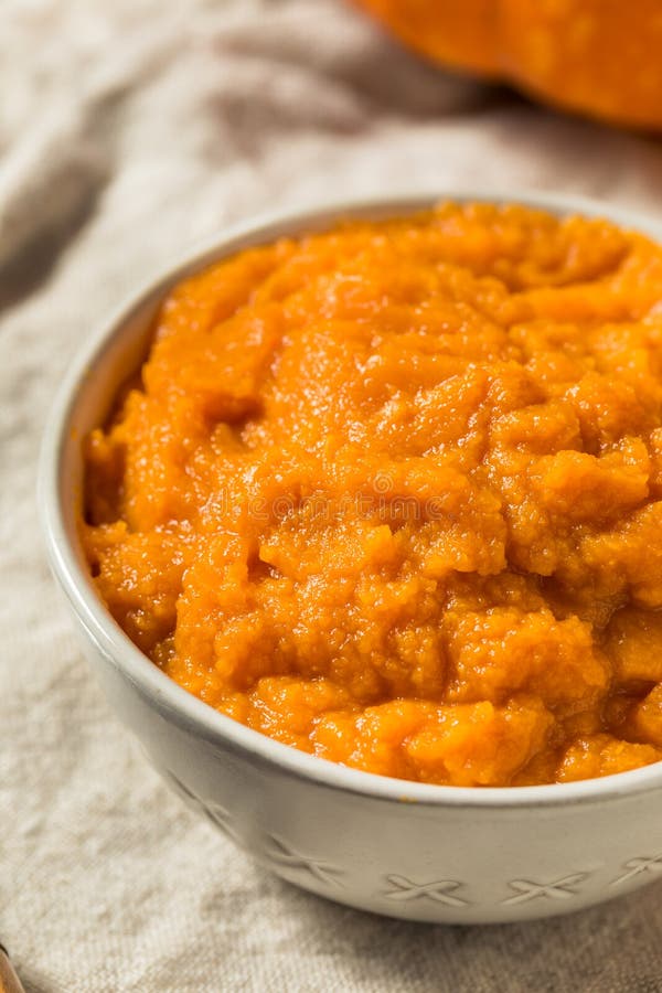 Raw Orange Organic Pumpkin Puree Stock Image - Image of delicious ...
