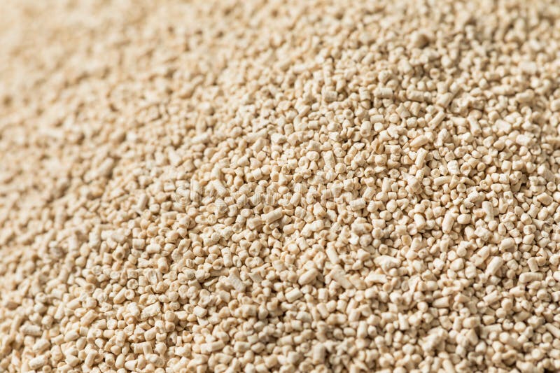 Raw Organic Active Dry Yeast Stock Image - Image of food, cuisine ...