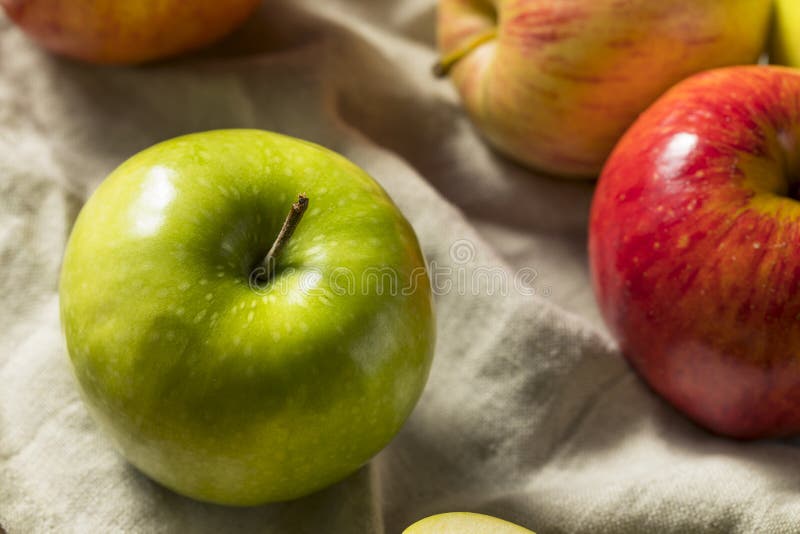 Raw Organic Assorted Apples Stock Image - Image of assorted, freshness ...