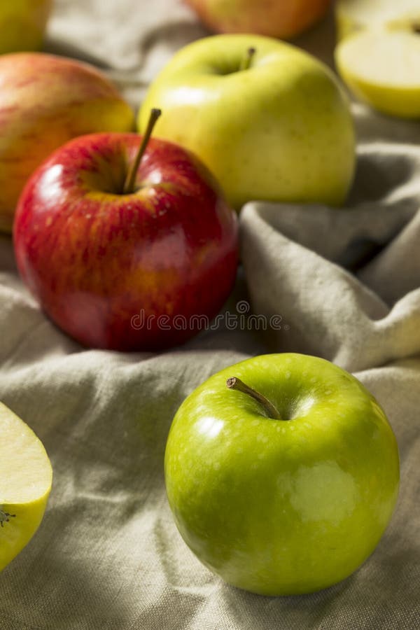 Raw Organic Assorted Apples Stock Photo - Image of nature, garden ...